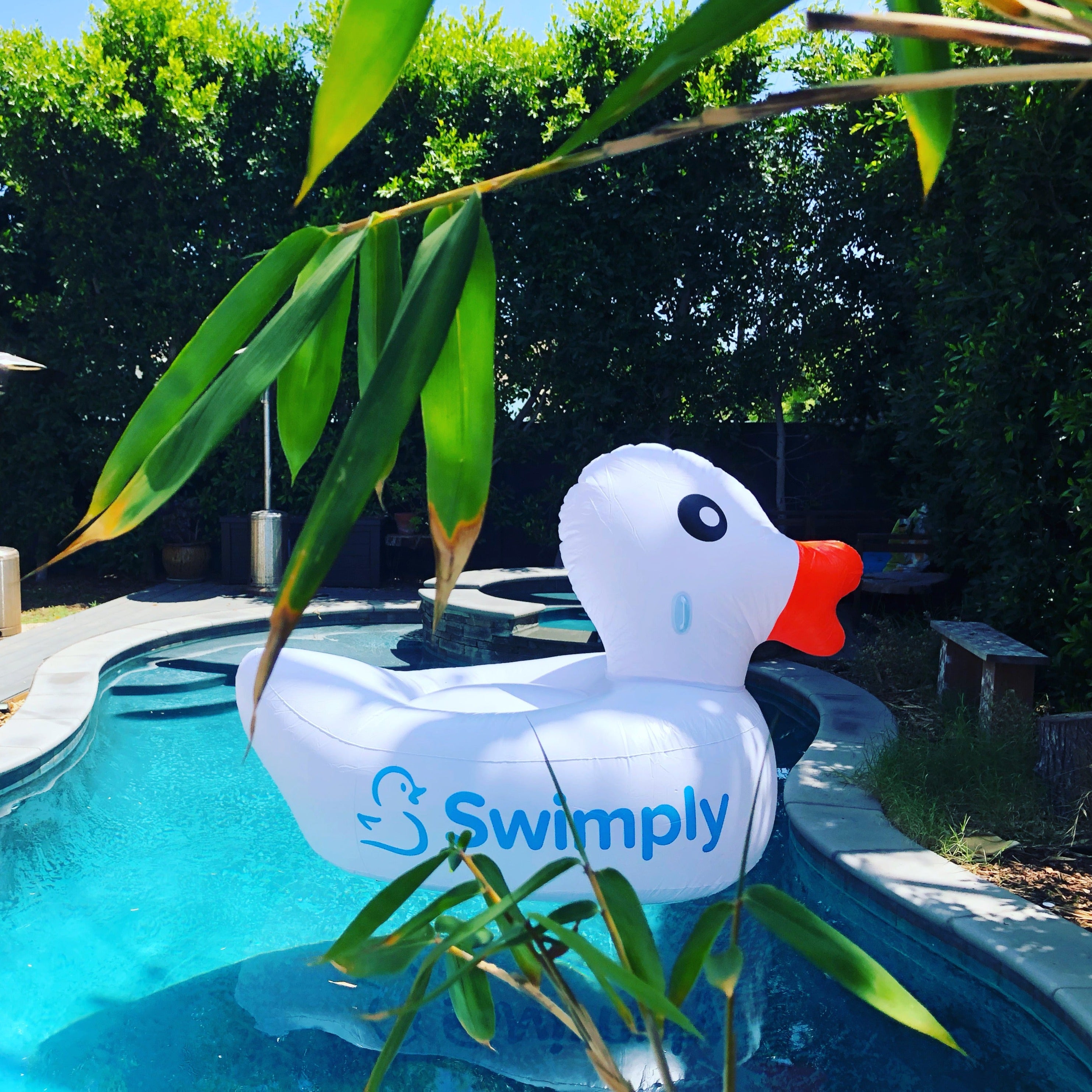 Welcome to the Swimply Store!